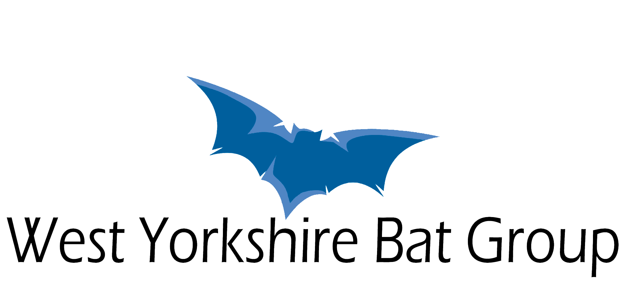 West Yorkshire Bat Group - Treacle